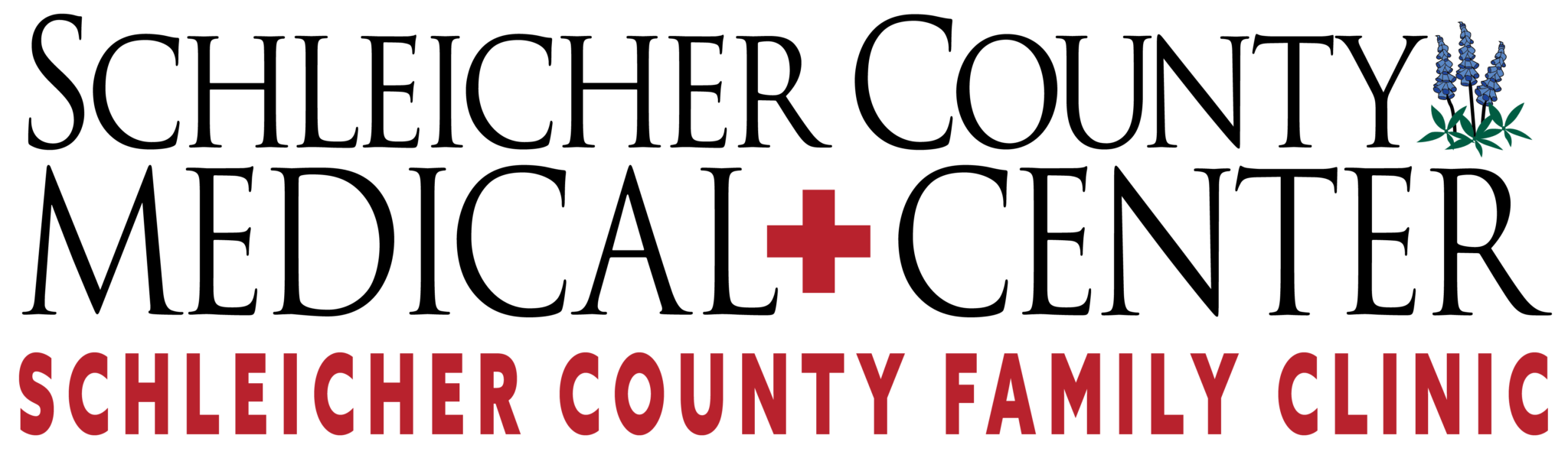 Schleicher - Leading Reach, Inc.