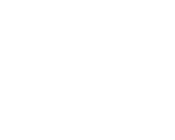 Zephyr for PCPs | LeadingReach